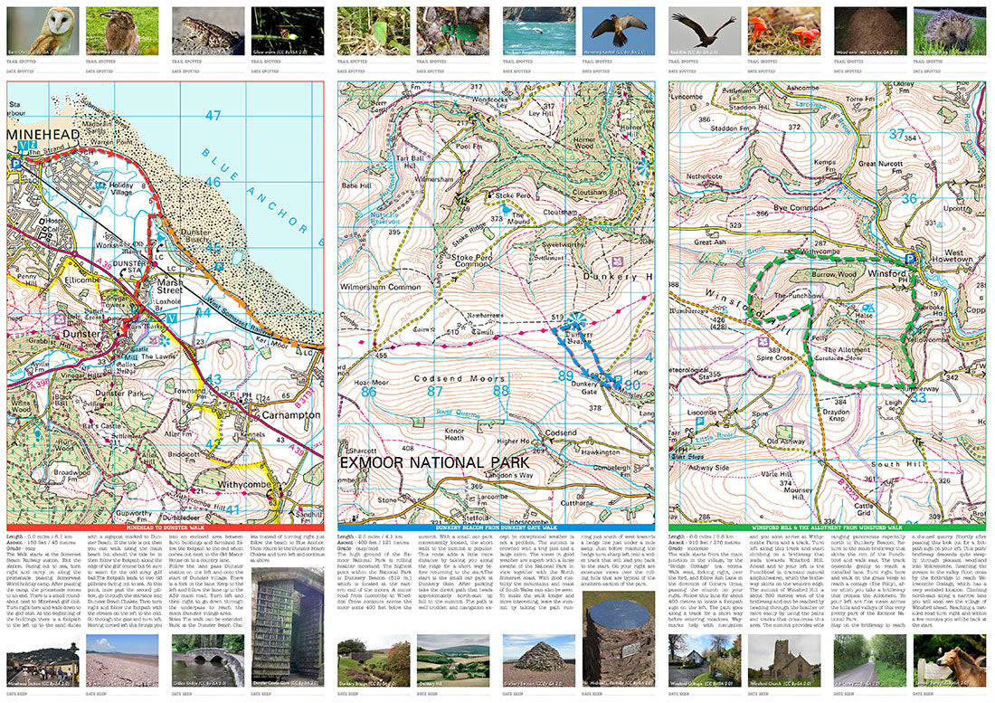 Minehead & Surrounding Area Map | The Little Map Company