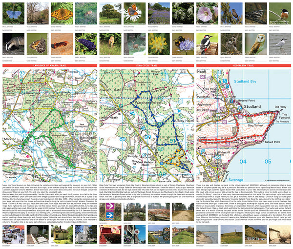 Purbeck Map of Surrounding Area | The Little Map Company