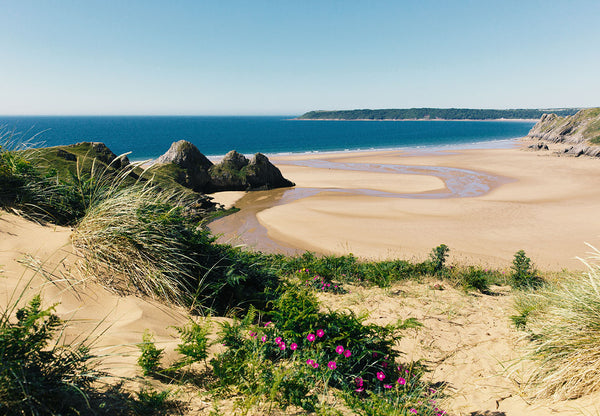 The Gower Map Including Swansea and 4 Circular Walks - The Little Map Co