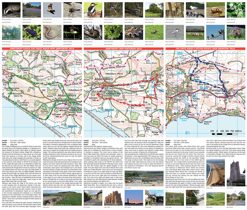 Weymouth Map of Surrounding Area | The Little Map Company